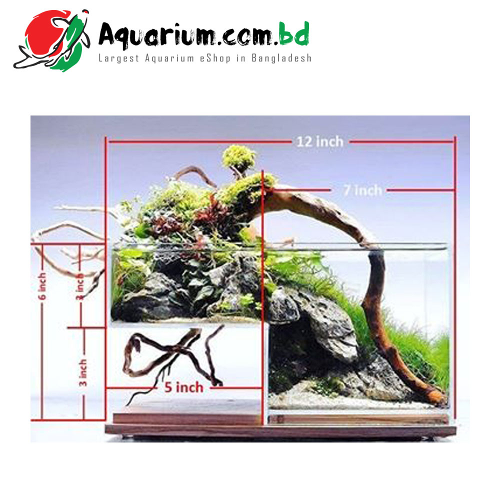 L Shape Tank & Stand – phila link