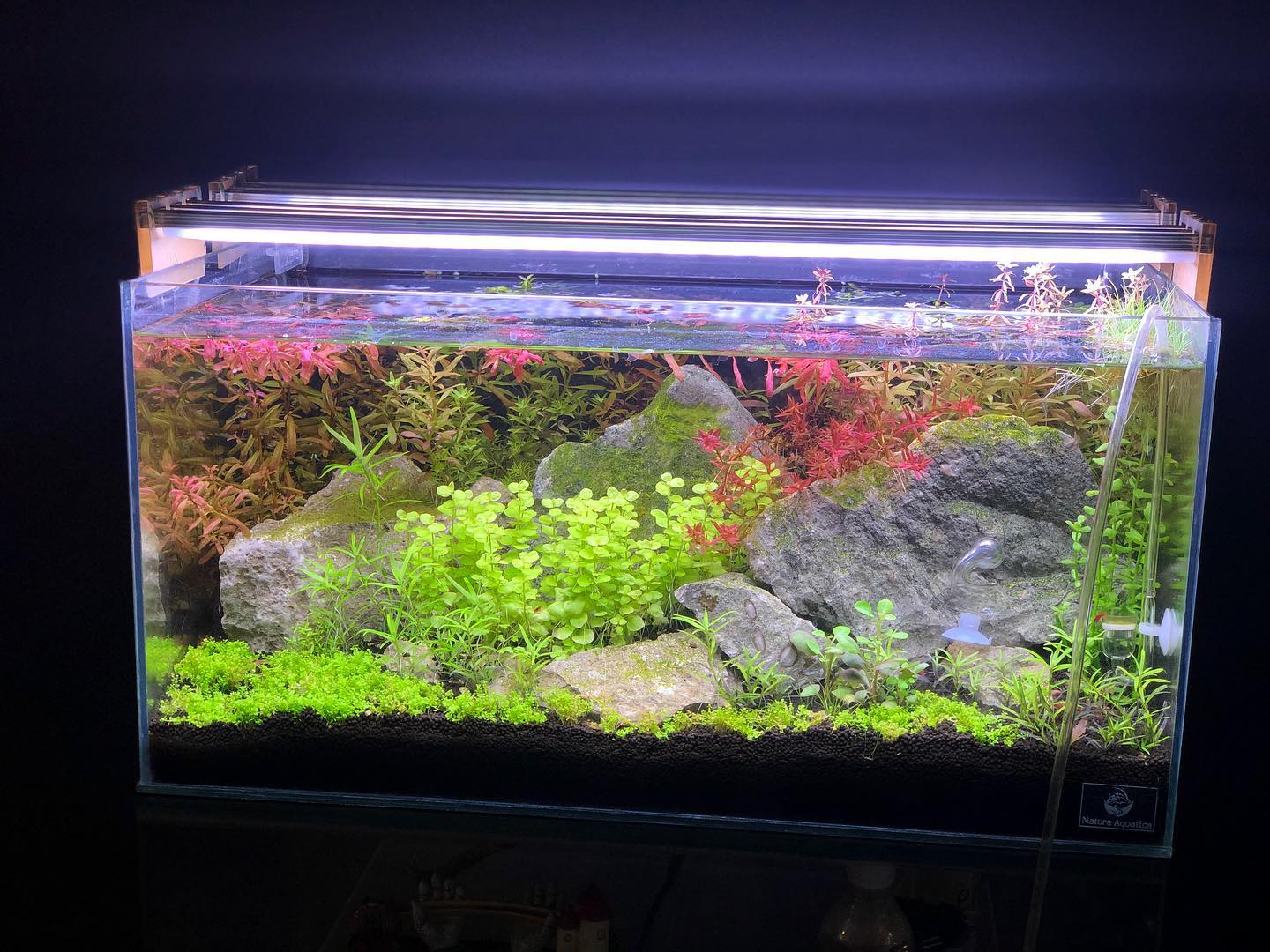 Aquarium LED Light- 24inch(3 panel) – phila link